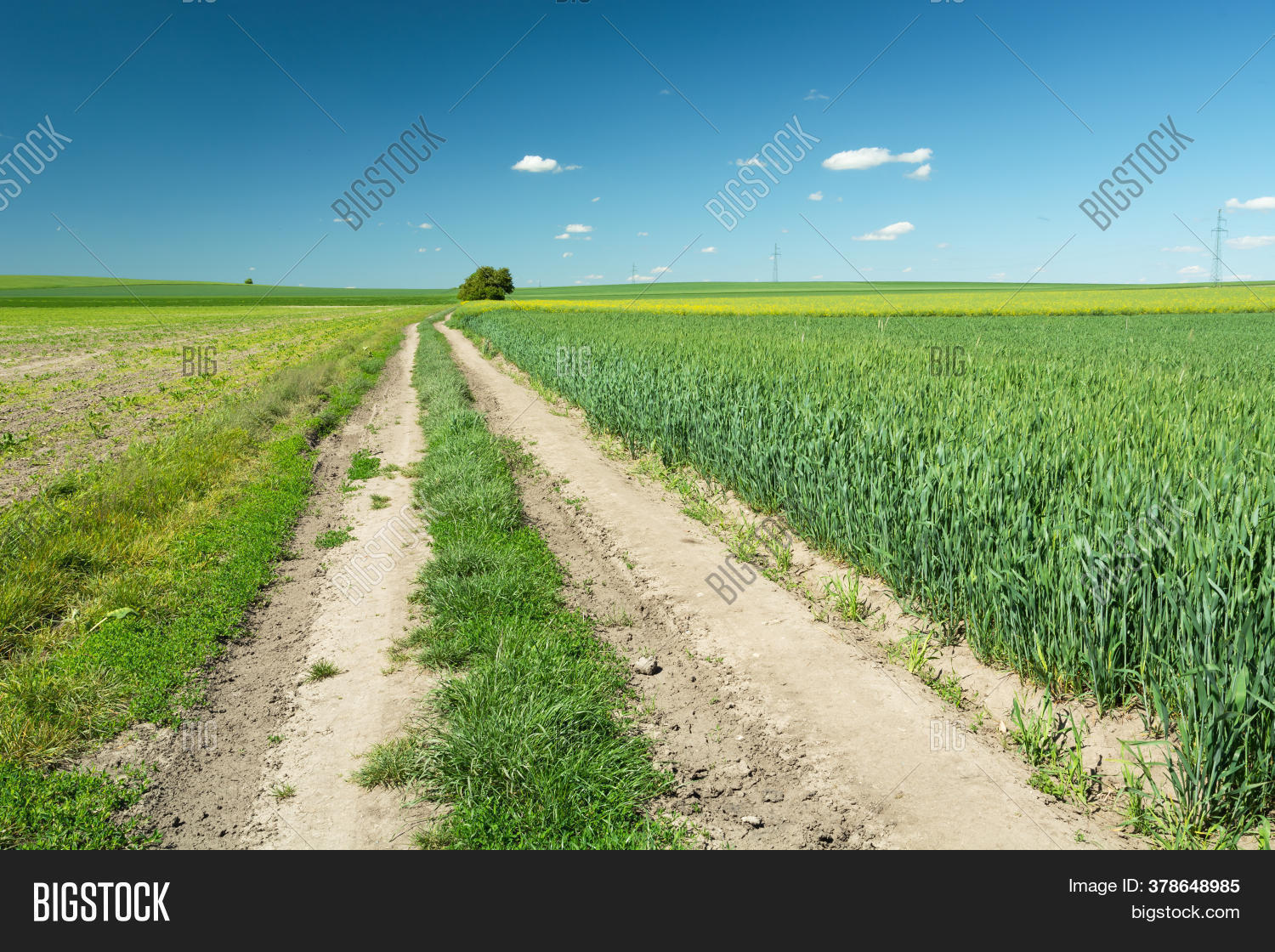 Long Country Road Image & Photo (Free Trial) | Bigstock