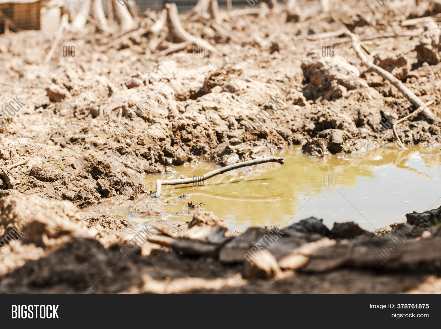 Mud Sludge Countryside Image & Photo (Free Trial) | Bigstock