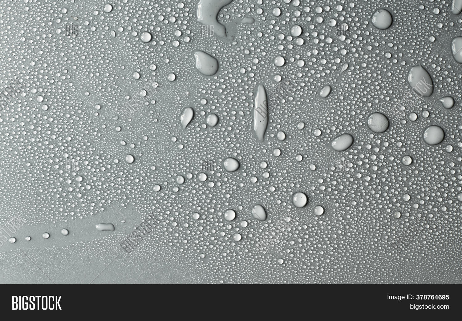 Water Drops On Light Image & Photo (Free Trial) | Bigstock