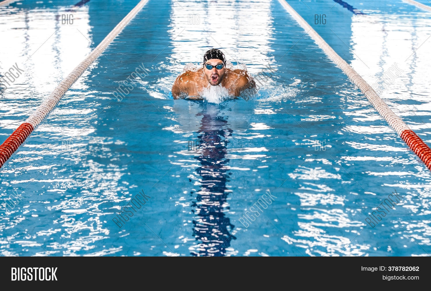 Swimming Motion. Image & Photo (Free Trial) | Bigstock