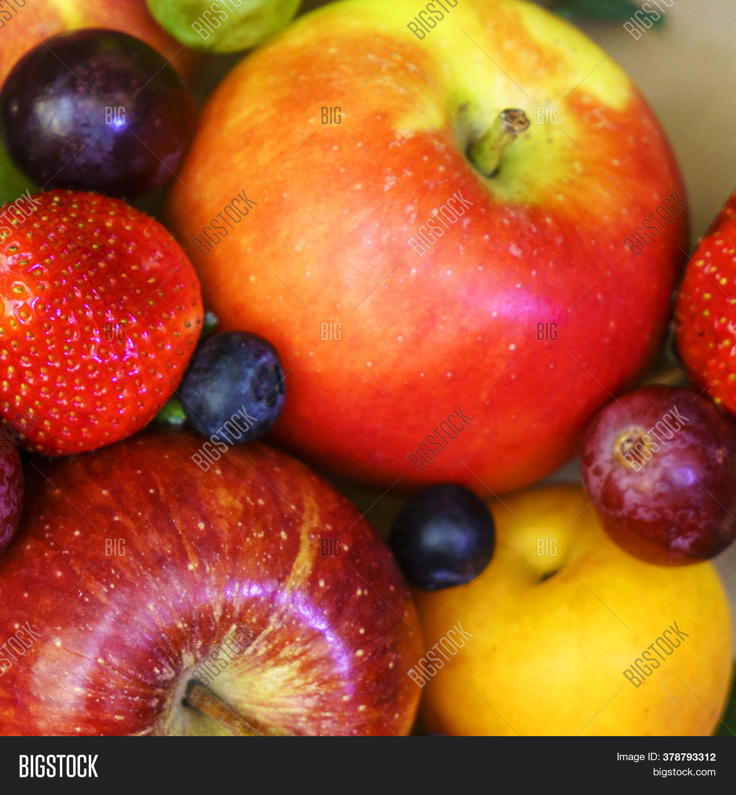 Close- View Large Image & Photo (Free Trial) | Bigstock