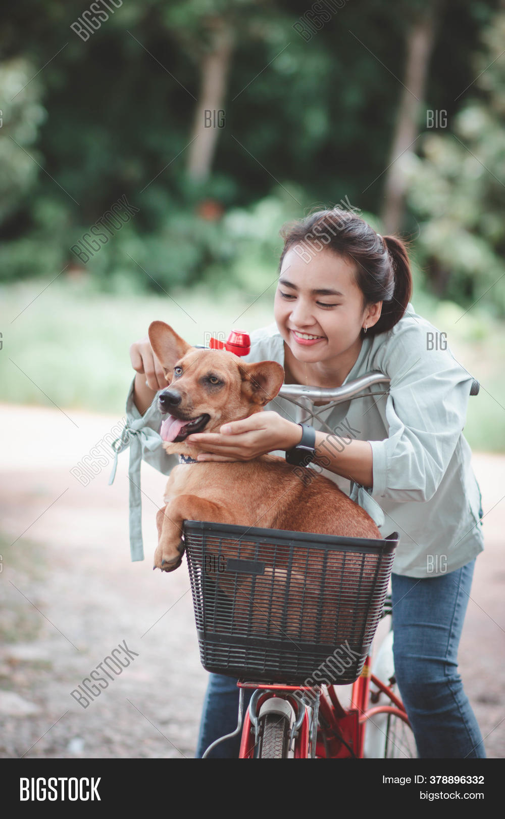 Woman Dog Riding Image & Photo (Free Trial) | Bigstock