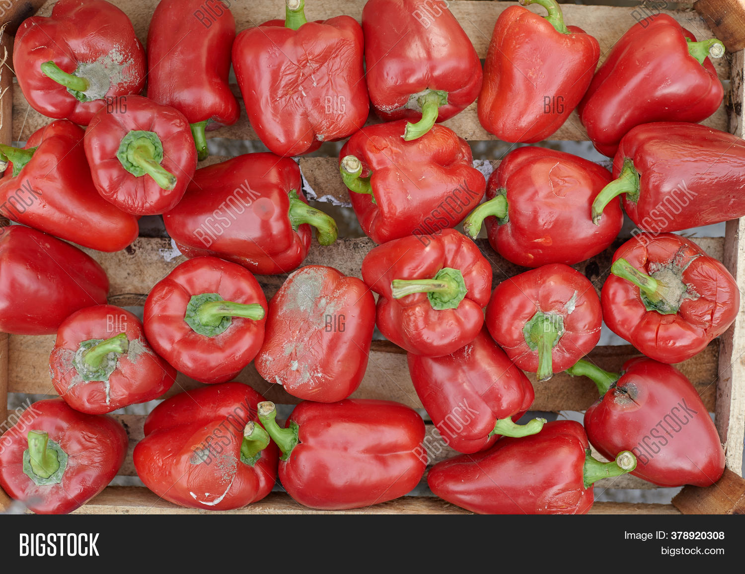 Rotten Spoiled Red Image & Photo (Free Trial) | Bigstock