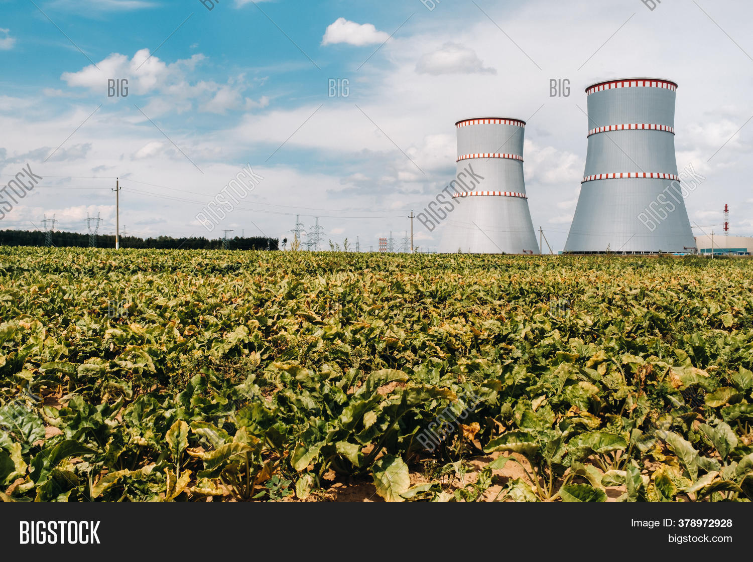 Belarusian Nuclear Image & Photo (Free Trial) | Bigstock