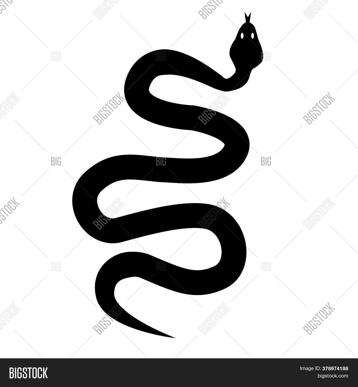 Black Silhouette Snake Image & Photo (Free Trial) | Bigstock