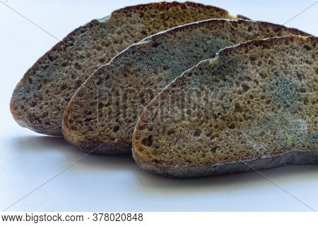 Moldy Bread. Mold On Image & Photo (Free Trial) | Bigstock