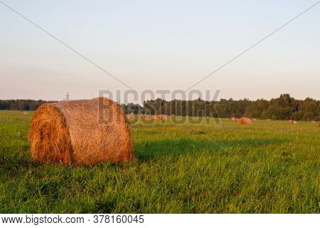 Hay Field Images, Illustrations & Vectors (Free) - Bigstock