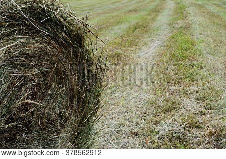 Hay Field Images, Illustrations & Vectors (Free) - Bigstock
