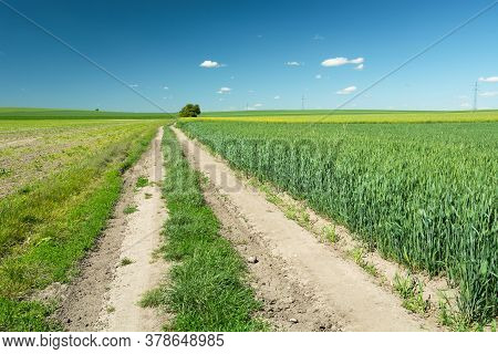 Long Country Road Image & Photo (Free Trial) | Bigstock