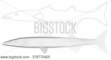 Set Fish. Low Poly Vector & Photo (Free Trial) | Bigstock