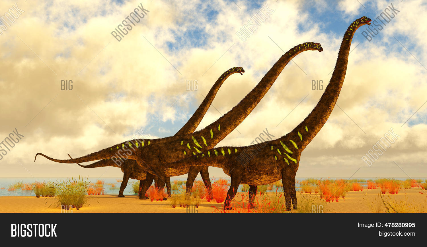 Mamenchisaurus Image & Photo (Free Trial) | Bigstock