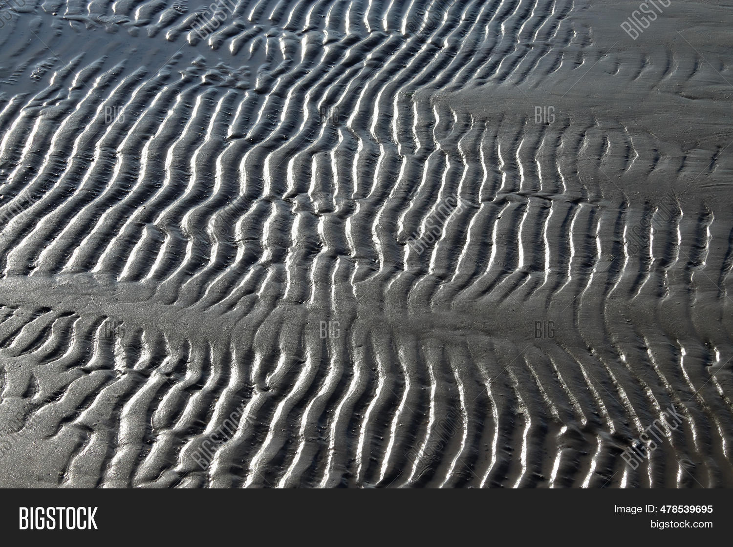 Sea Beach. Ribbed Sand Image & Photo (Free Trial) | Bigstock