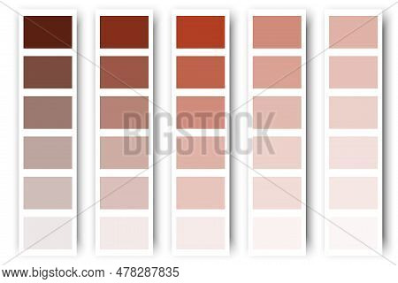 Orange Color Palette Vector & Photo (Free Trial) | Bigstock