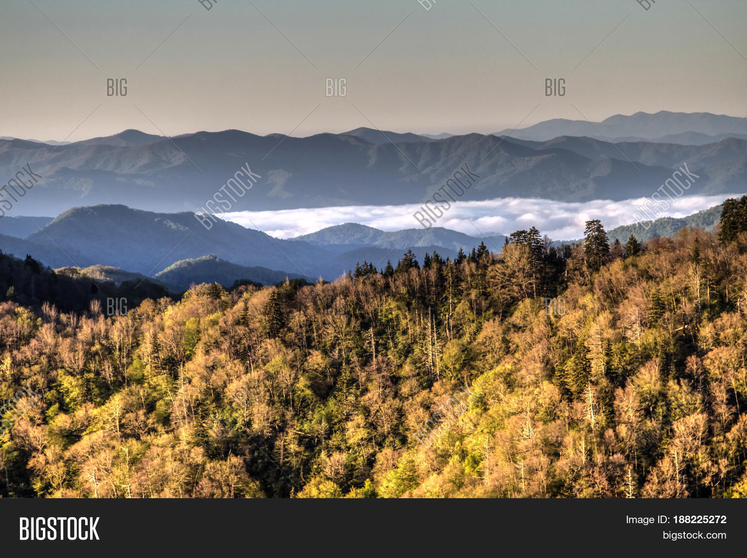 Smoky Mountain Mist. Image & Photo (Free Trial) | Bigstock