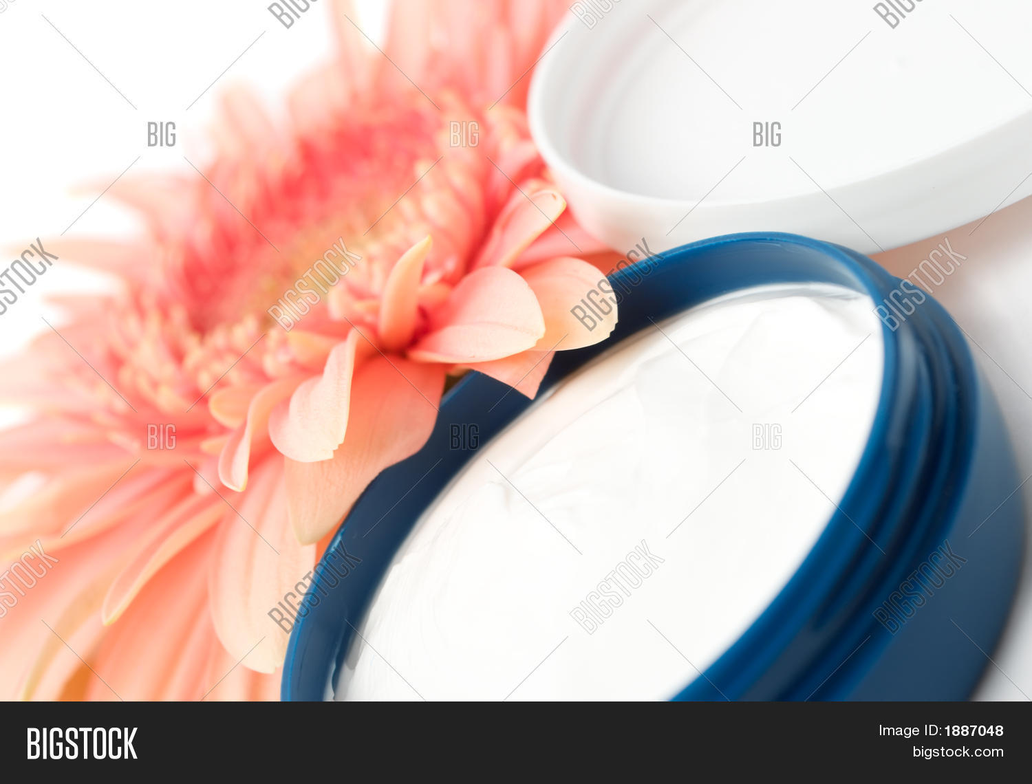 Face Cream Flower Image & Photo (Free Trial) | Bigstock