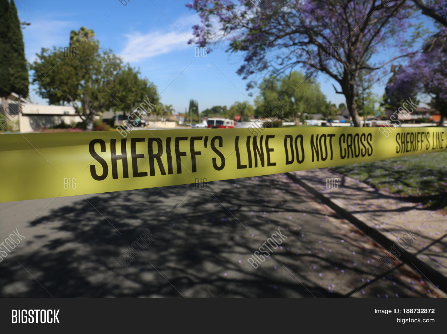 Lake Forest, Image & Photo (Free Trial) | Bigstock