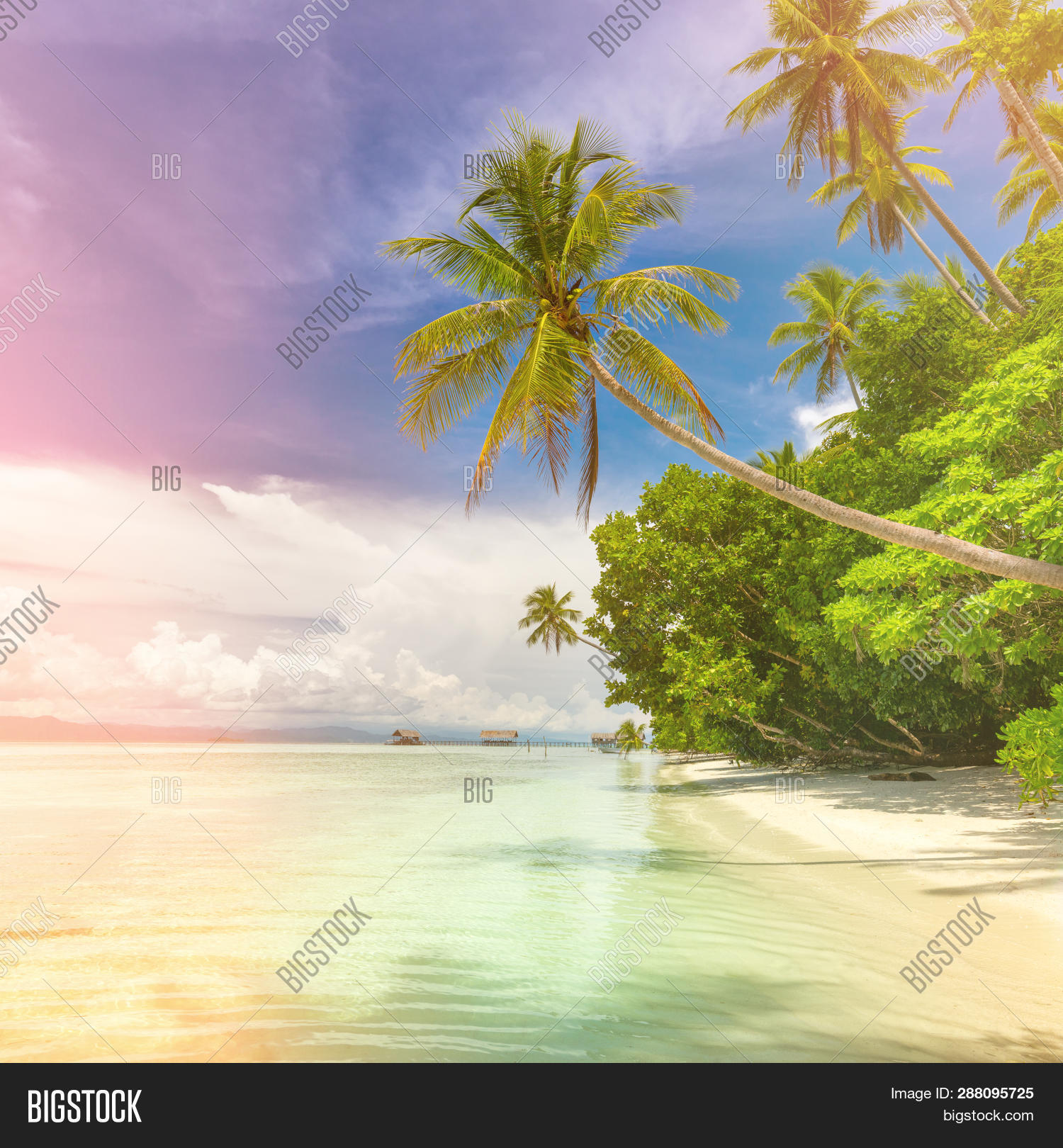 Paradise Background Image & Photo (Free Trial) | Bigstock