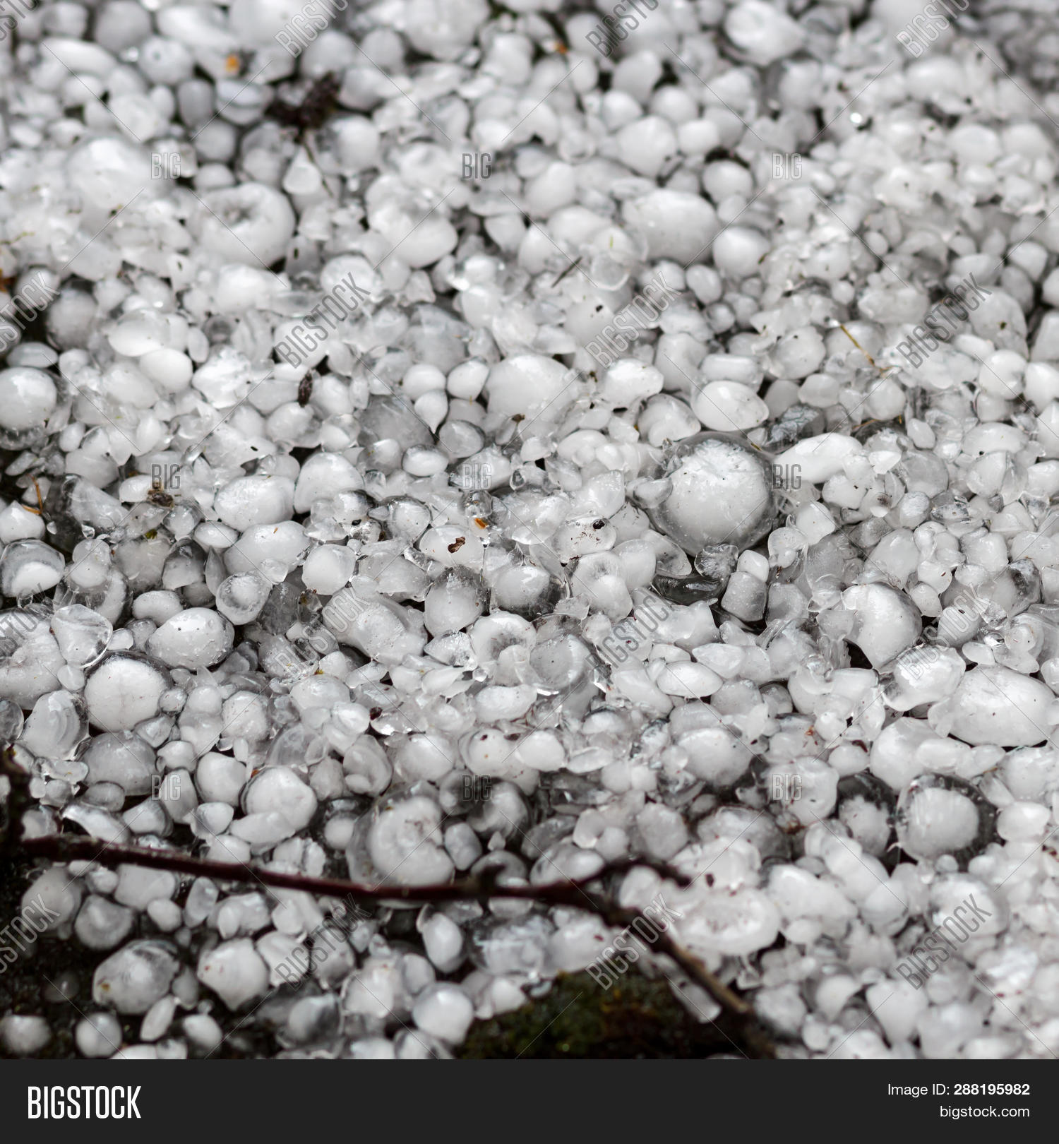 Hailstones On Ground Image & Photo (Free Trial) | Bigstock