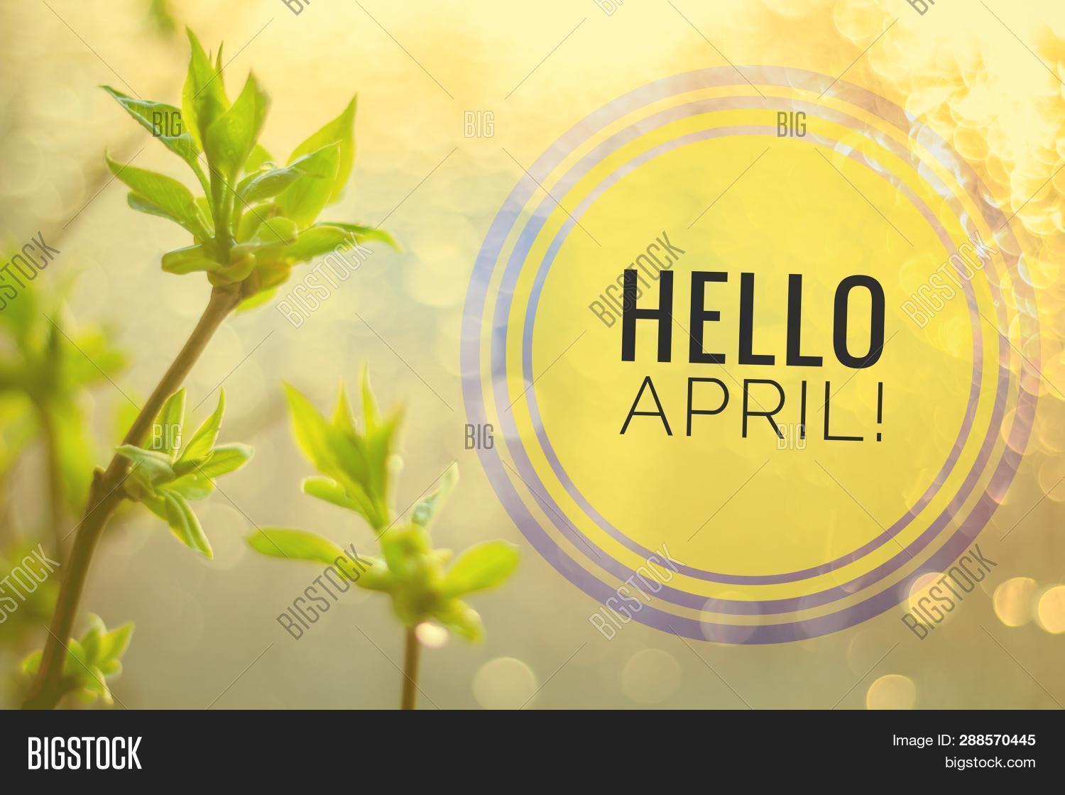 Hello April Pictures