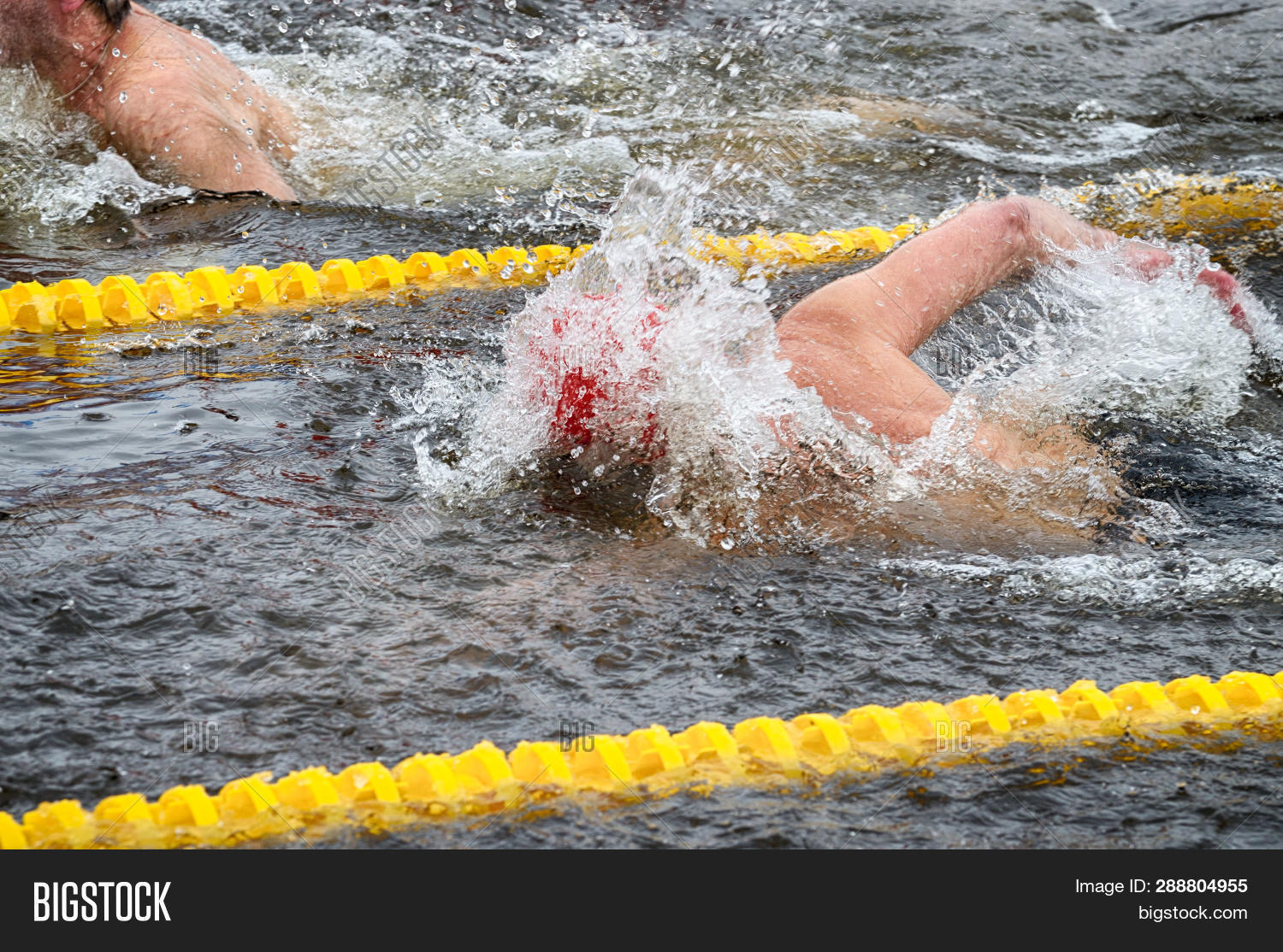 Lovers Winter Swimming Image & Photo (Free Trial) | Bigstock