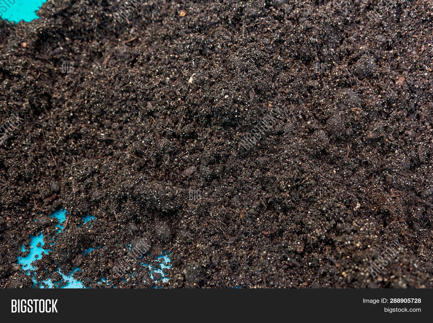 Soil Plant Seeds Blue Image & Photo (Free Trial) | Bigstock
