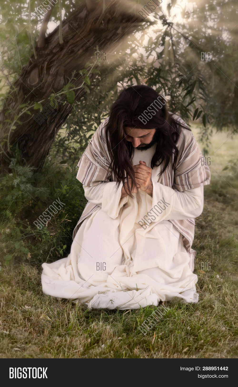 Jesus Agony Praying Image & Photo (Free Trial) | Bigstock