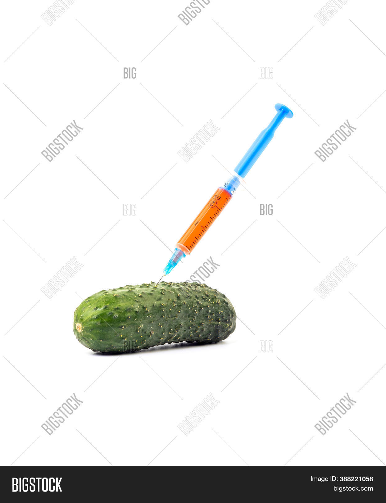 Cucumber On White Image & Photo (Free Trial) | Bigstock