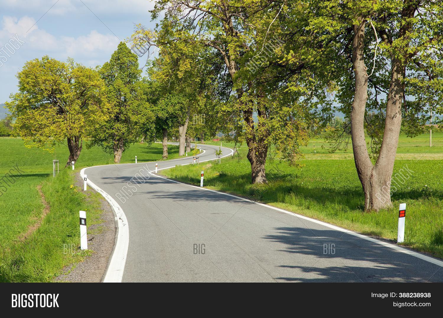 Spring Time Springy Image & Photo (Free Trial) | Bigstock