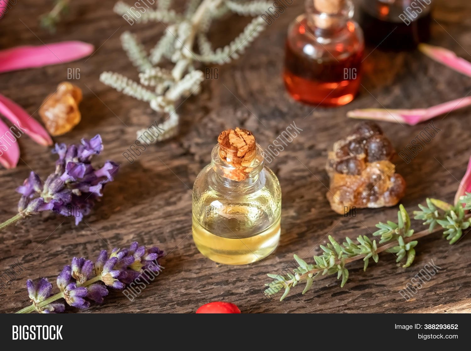Bottle Essential Oil Image & Photo (Free Trial) | Bigstock