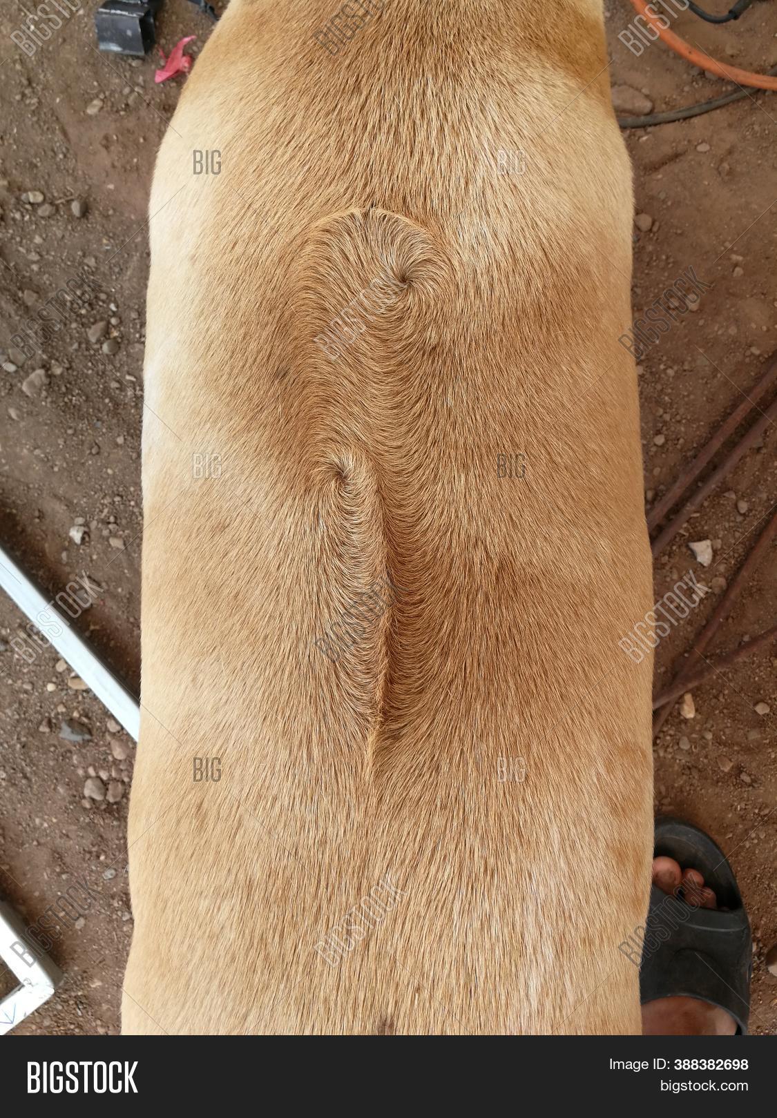 High Angle View Back Image & Photo (Free Trial) | Bigstock