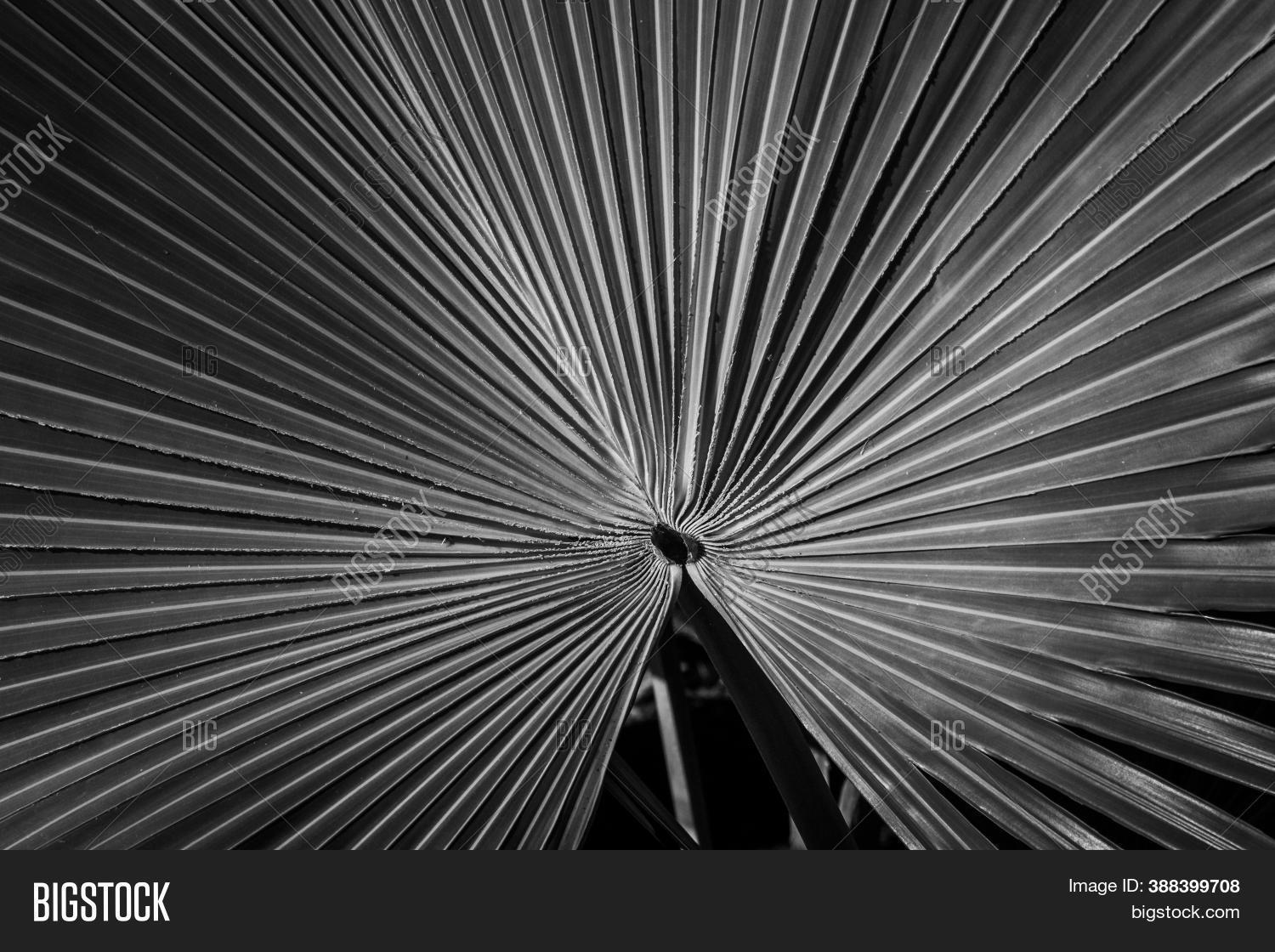 Converging Lines In Photography