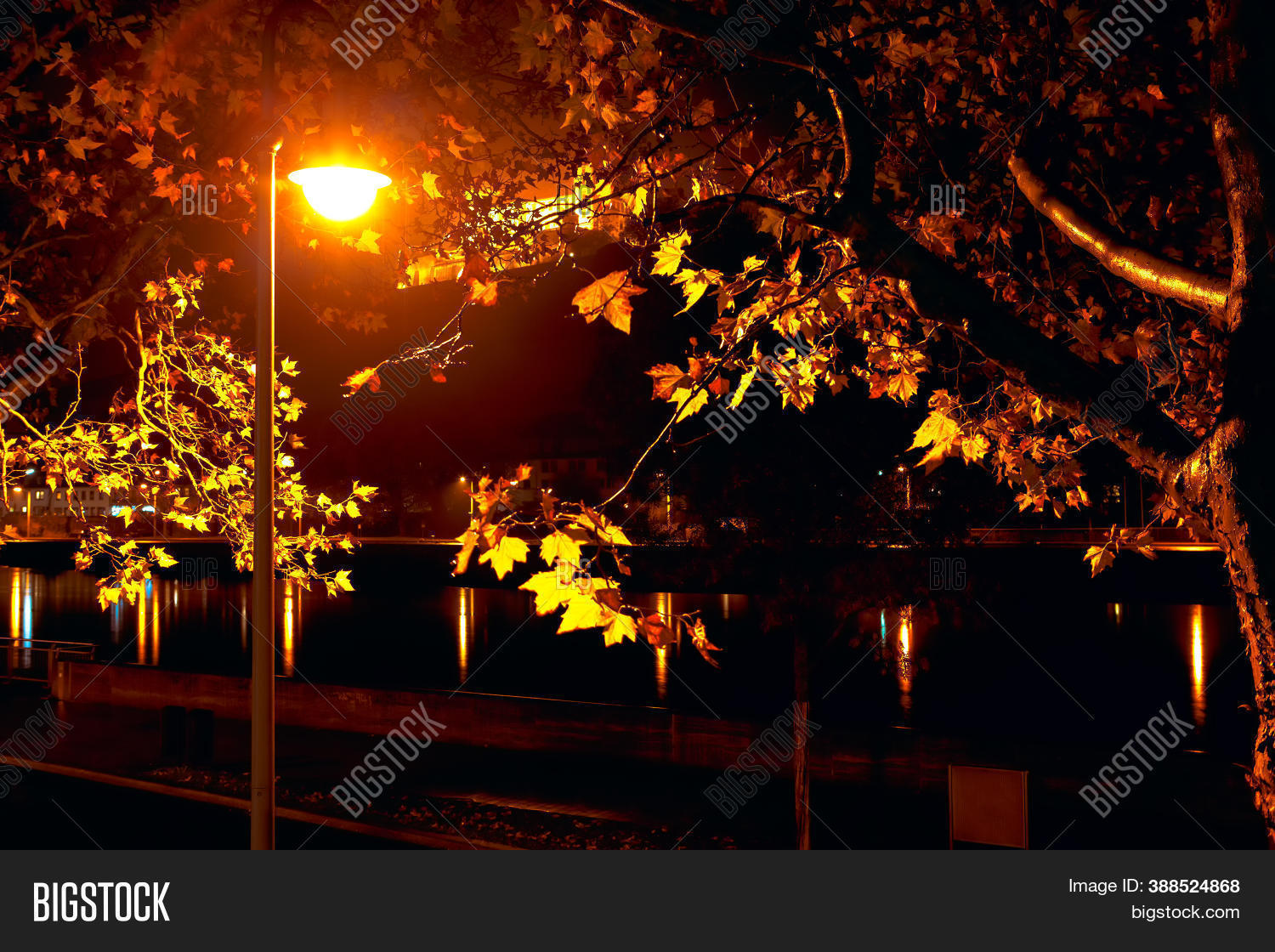 Autumn Night Street Image & Photo (Free Trial) | Bigstock