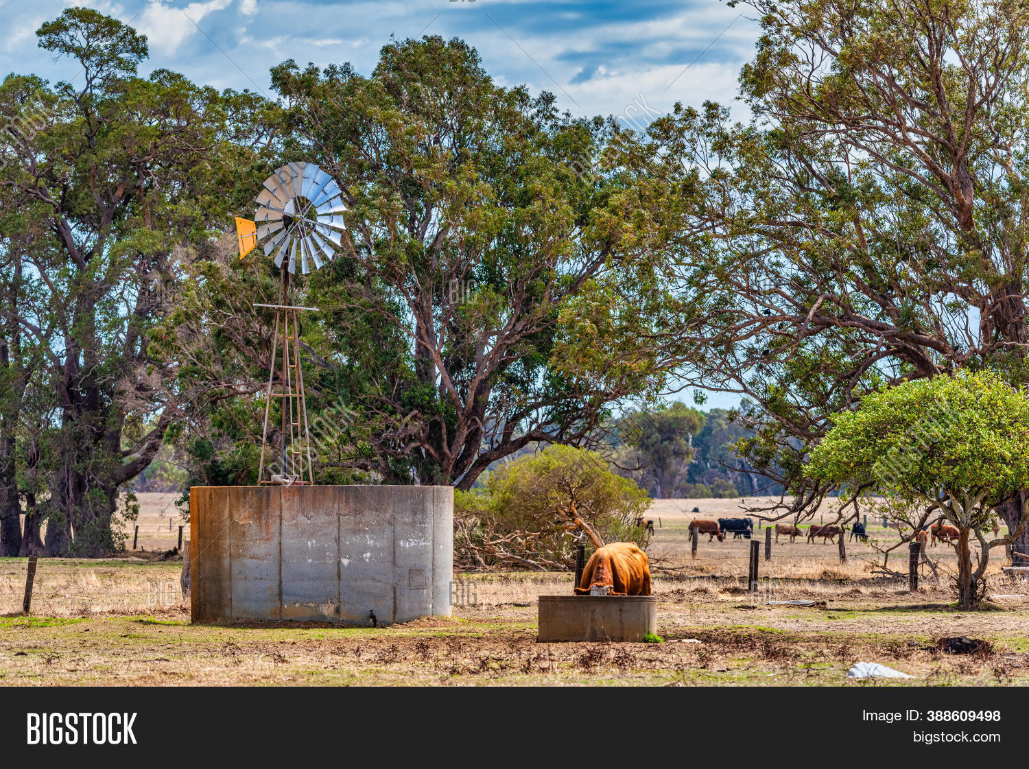 Australian Windmills Image & Photo (Free Trial) | Bigstock