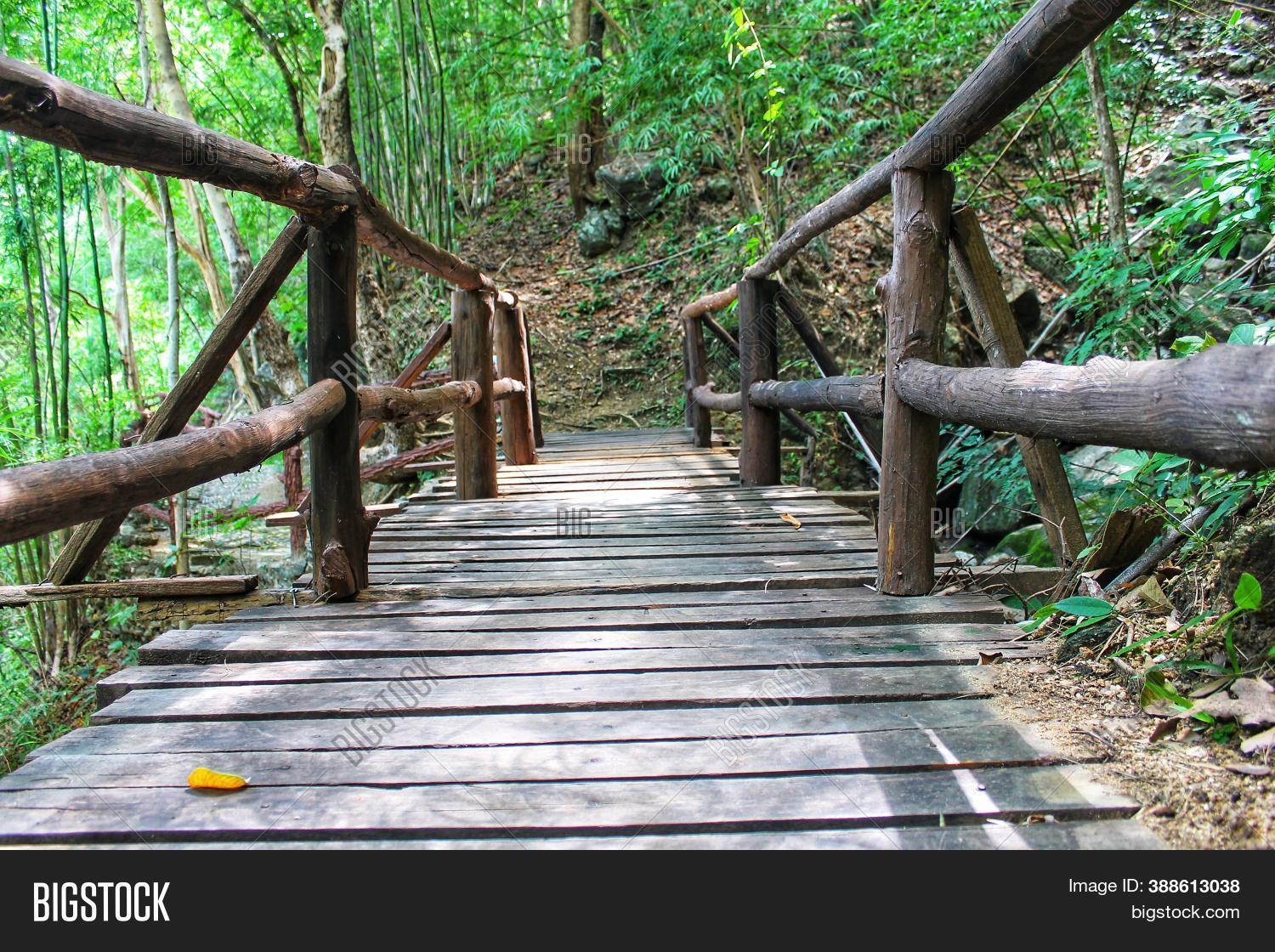 Wooden Bridge Forest Image & Photo (Free Trial) | Bigstock