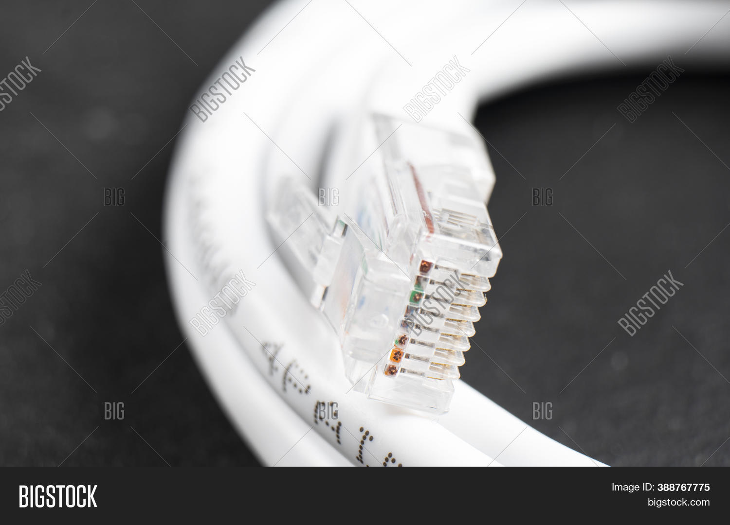 Internet Data Cable Image & Photo (Free Trial) | Bigstock