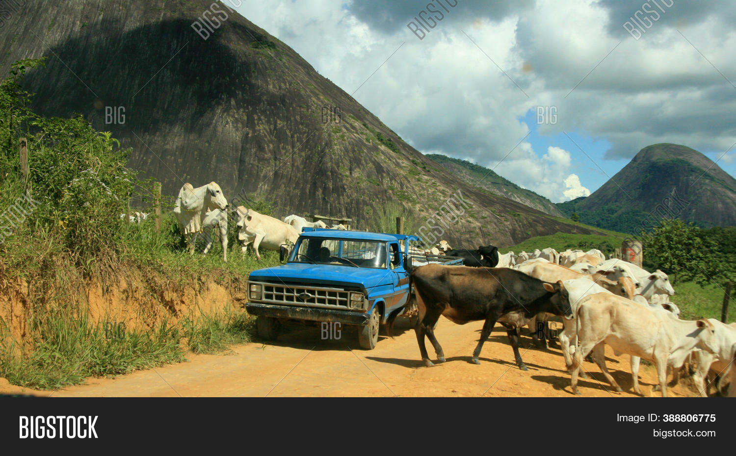 Itamaraju, Bahia / Image & Photo (Free Trial) | Bigstock