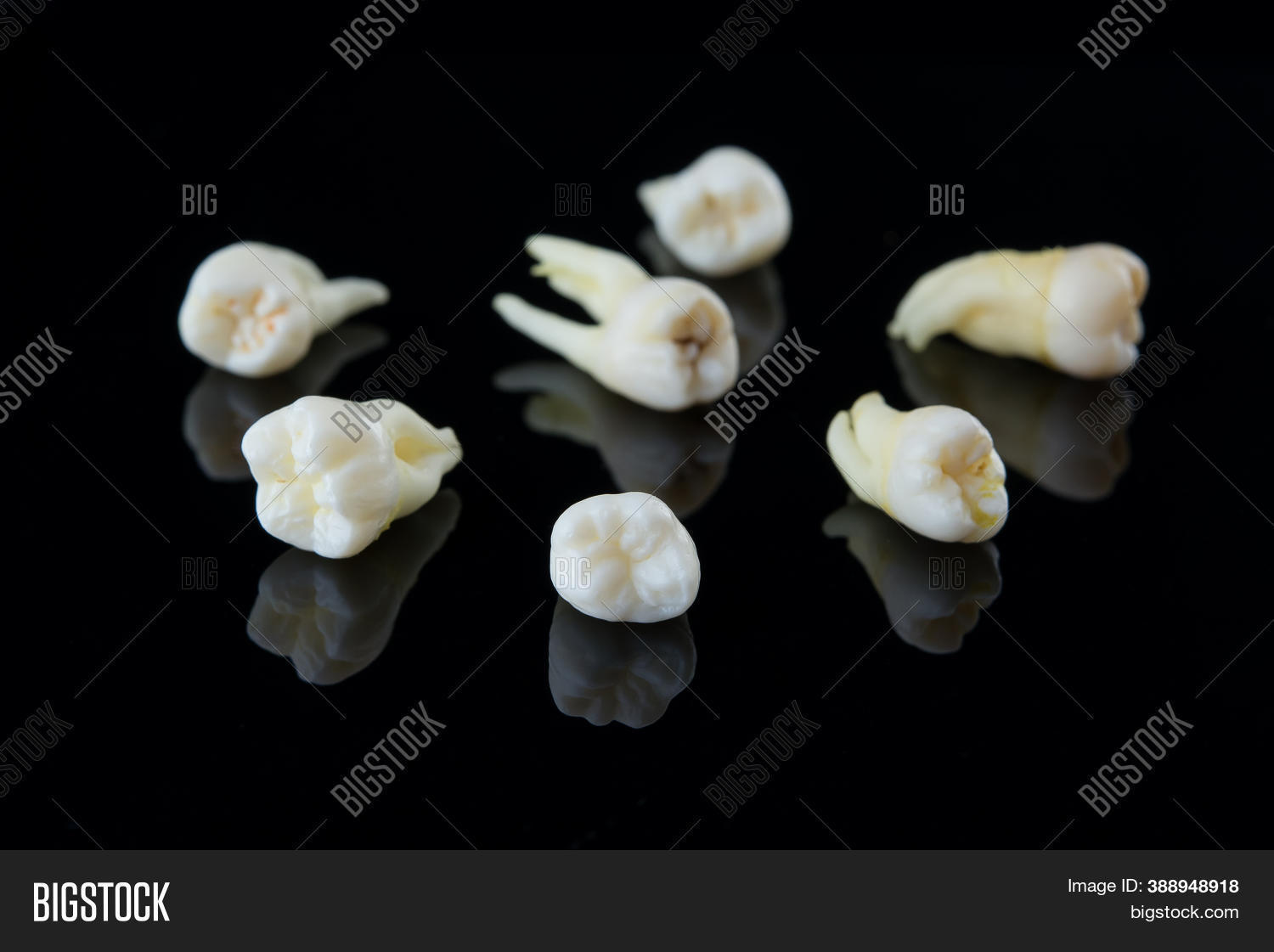 Torn Human Teeth On Image & Photo (Free Trial) | Bigstock