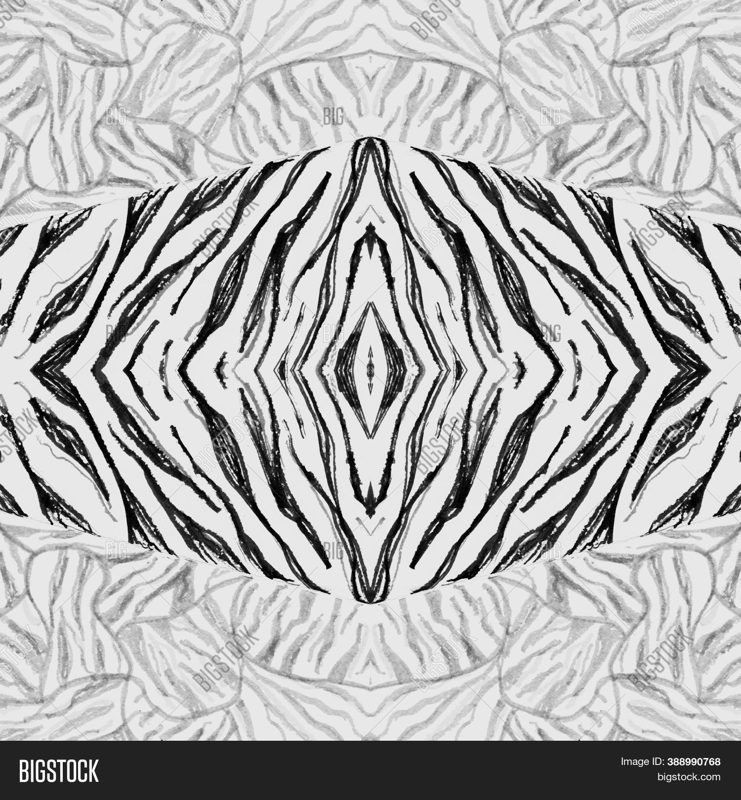 Seamless Zebra Texture Image & Photo (Free Trial) | Bigstock