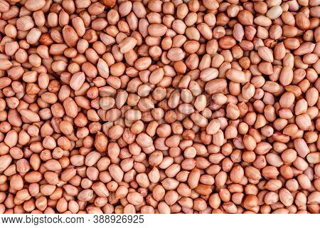 Raw Uncooked Peanut Image & Photo (Free Trial) | Bigstock