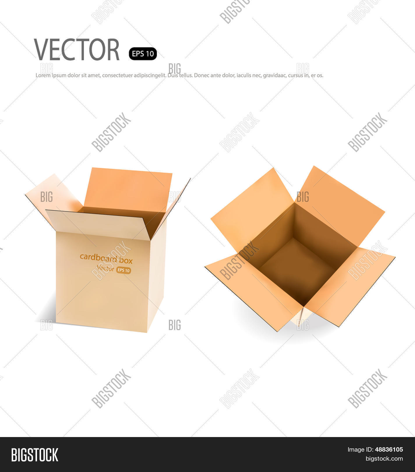 Collection Cardboard Vector & Photo (Free Trial) | Bigstock
