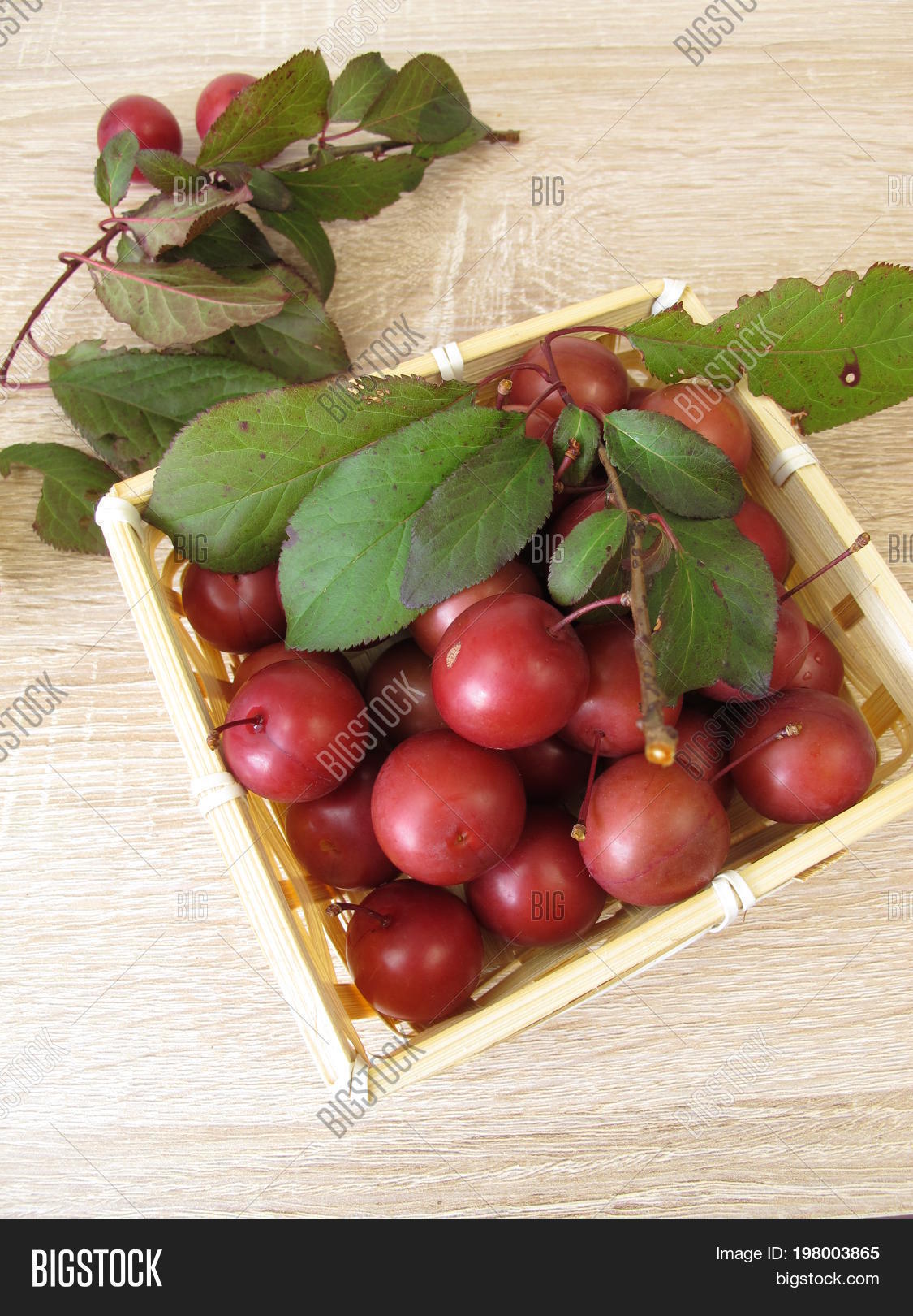 Red Cherry Plum Image & Photo (Free Trial) | Bigstock