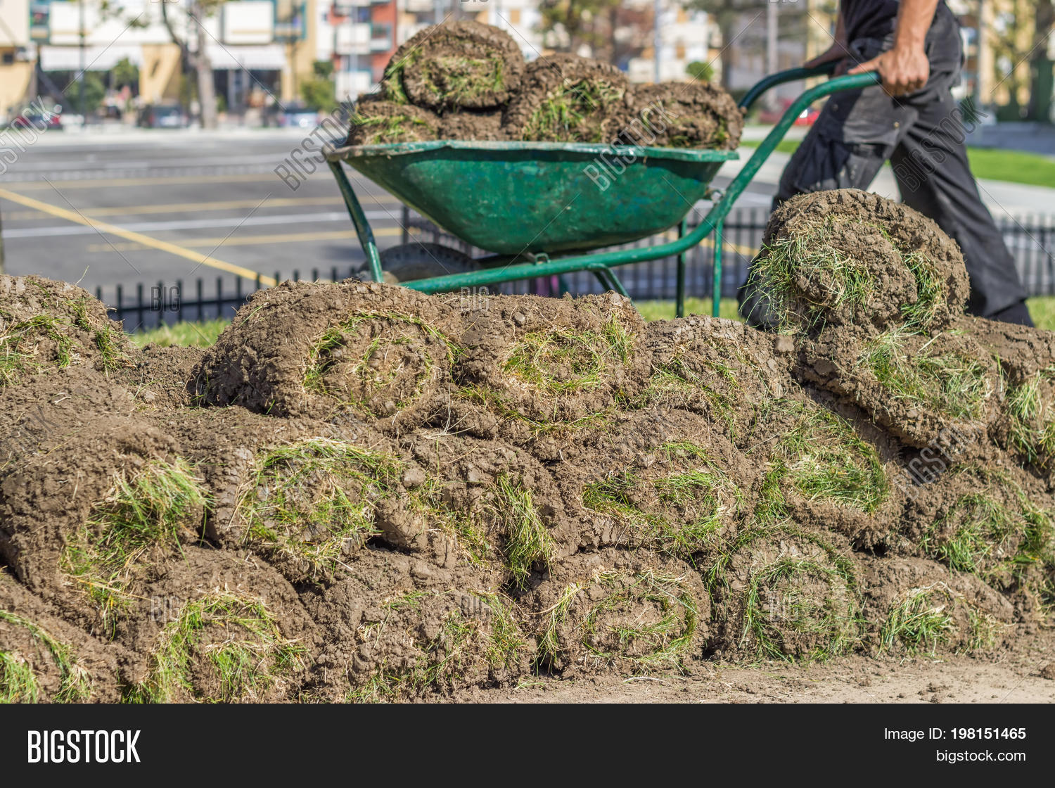 Heap Sod Rolls Image & Photo (Free Trial) | Bigstock