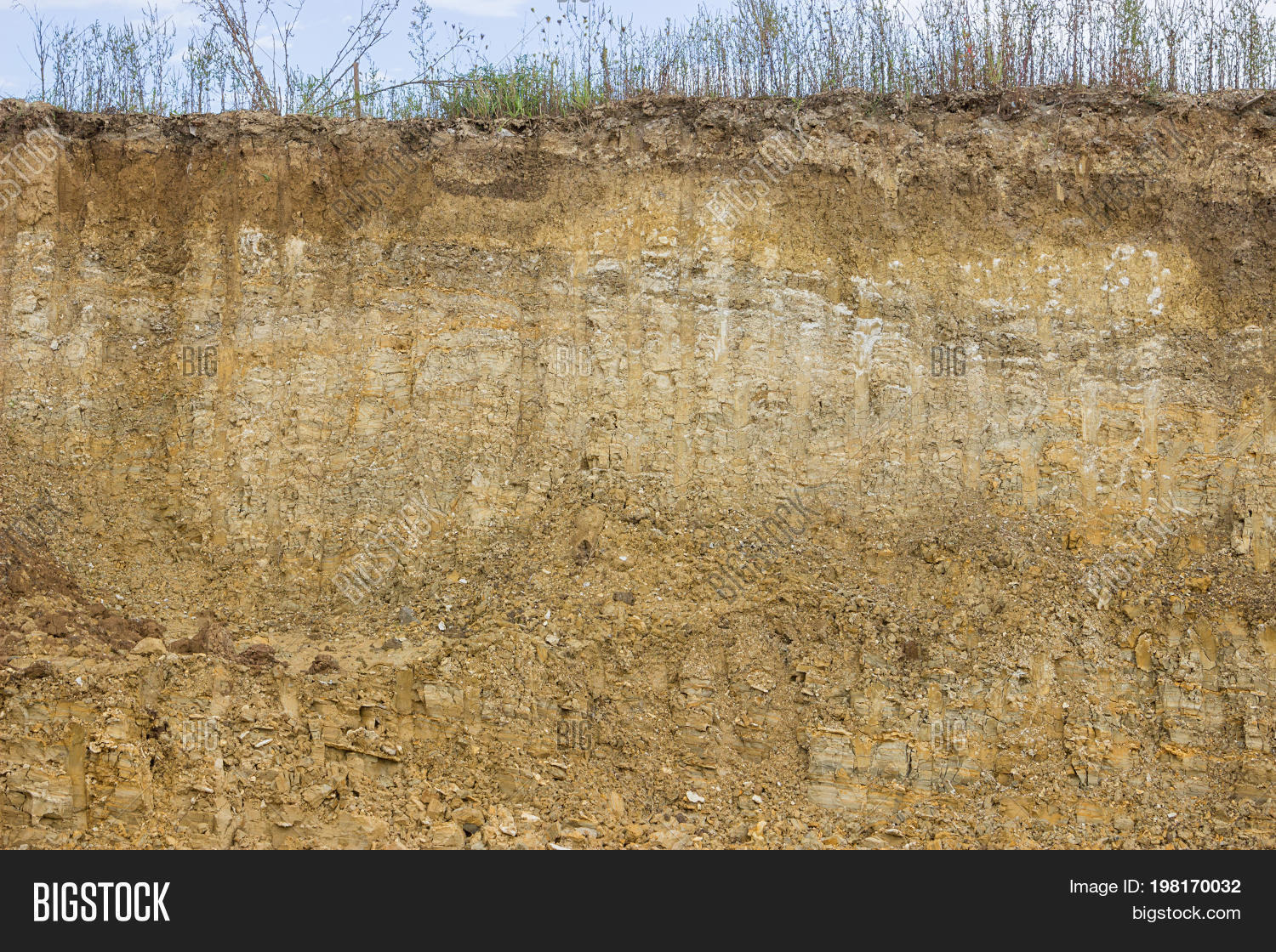 Cross Section Dirt 3 Image & Photo (Free Trial) | Bigstock
