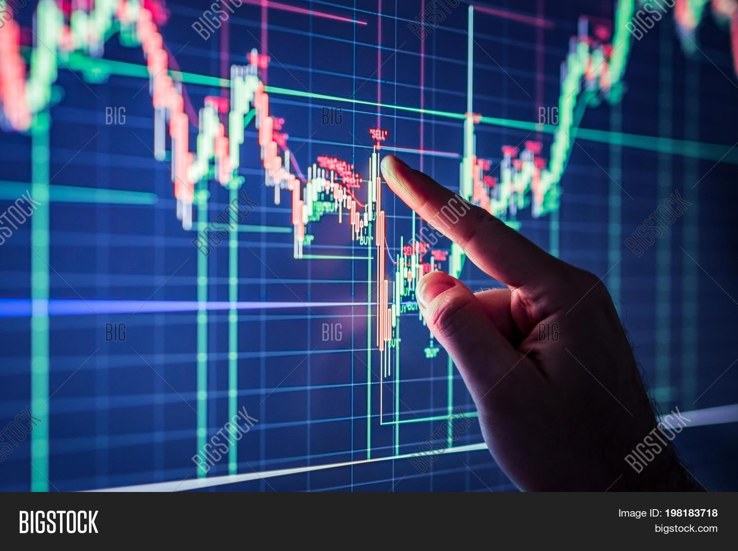 Businessman Checking Image & Photo (Free Trial) | Bigstock