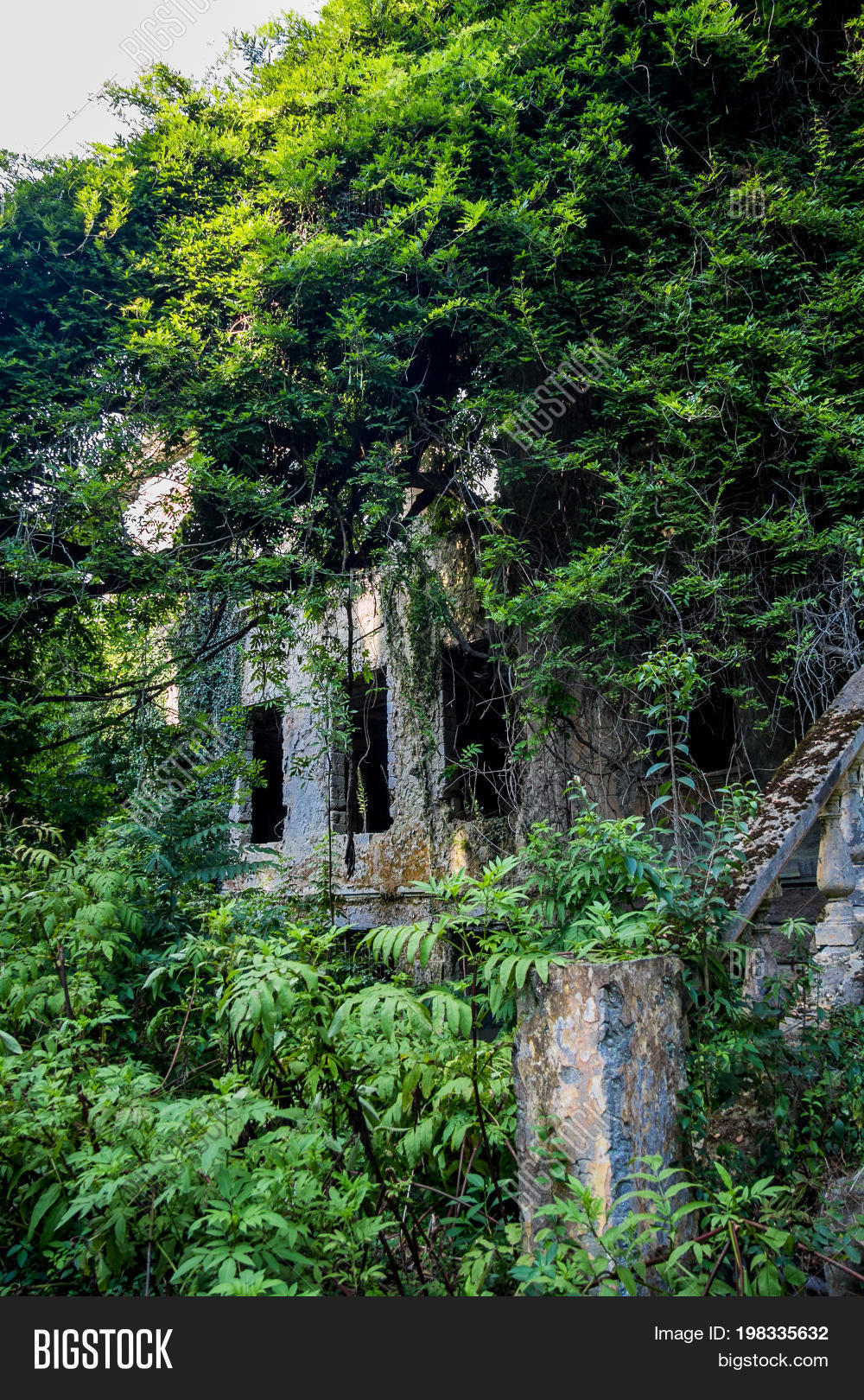 Overgrown Ruins Image & Photo (Free Trial) | Bigstock
