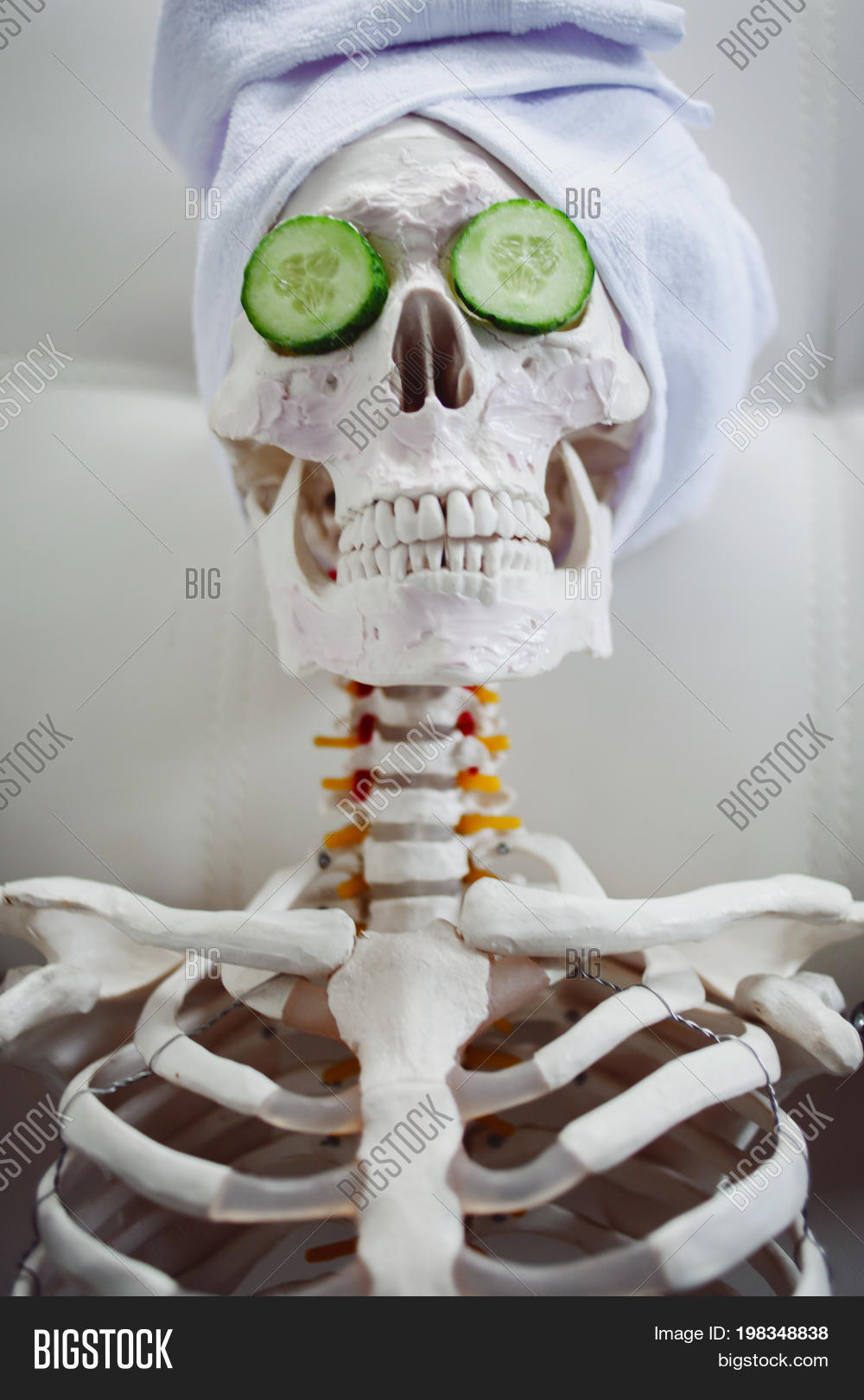 Skeleton Spa Salon Image & Photo (Free Trial) | Bigstock