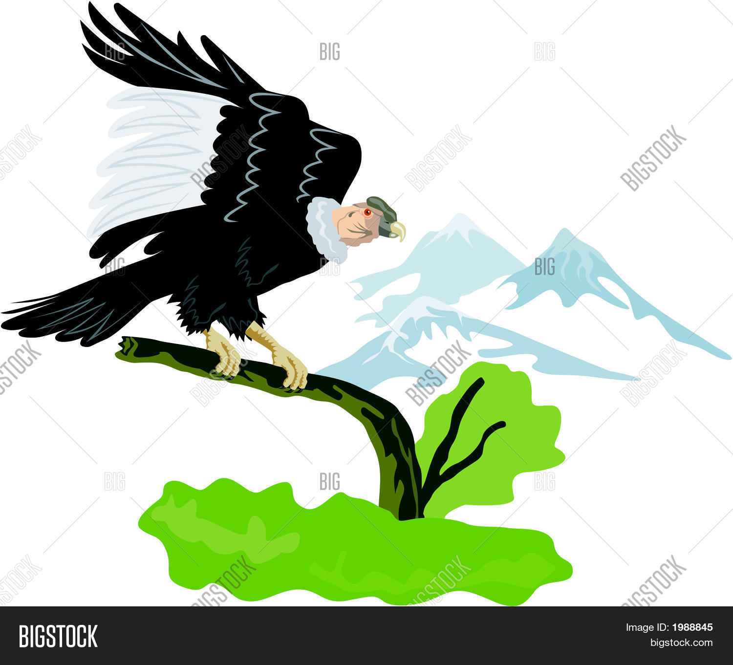 Vector y foto Condor En Rama Con (prueba gratis) | Bigstock