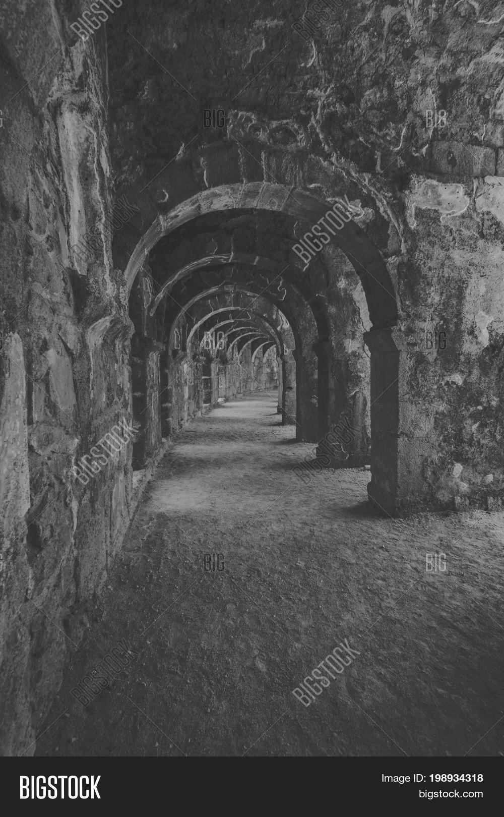 Internal Passages Image & Photo (Free Trial) | Bigstock