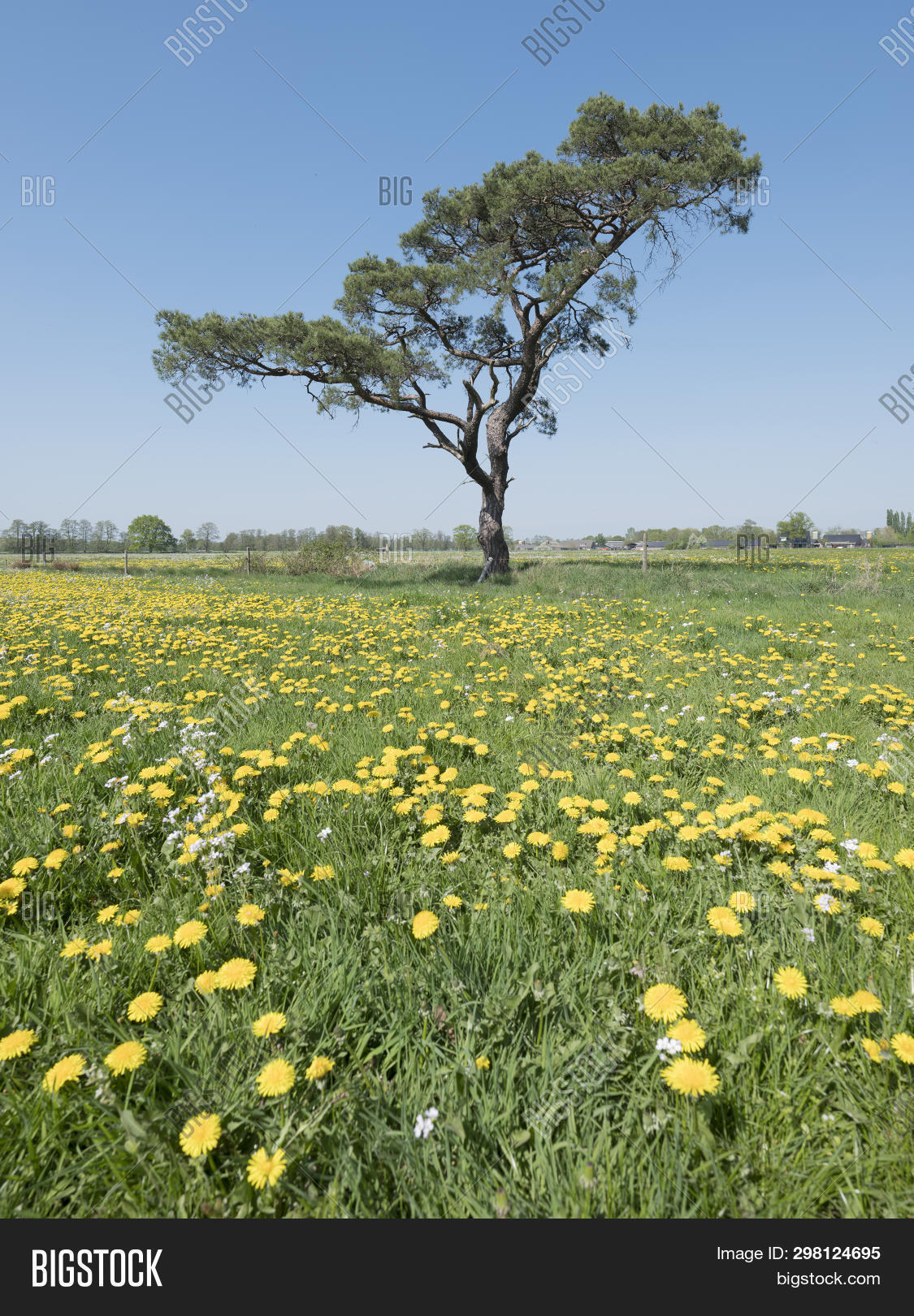 Spring Field Image & Photo (Free Trial) | Bigstock