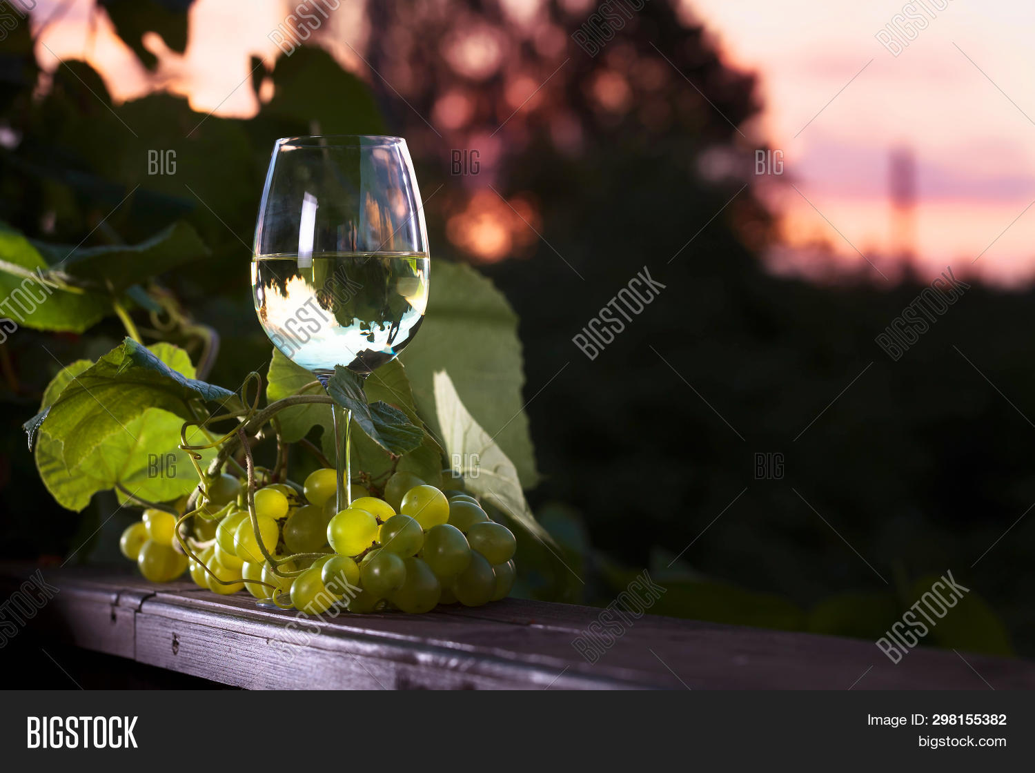 White Wine Vineyard. Image & Photo (Free Trial) | Bigstock